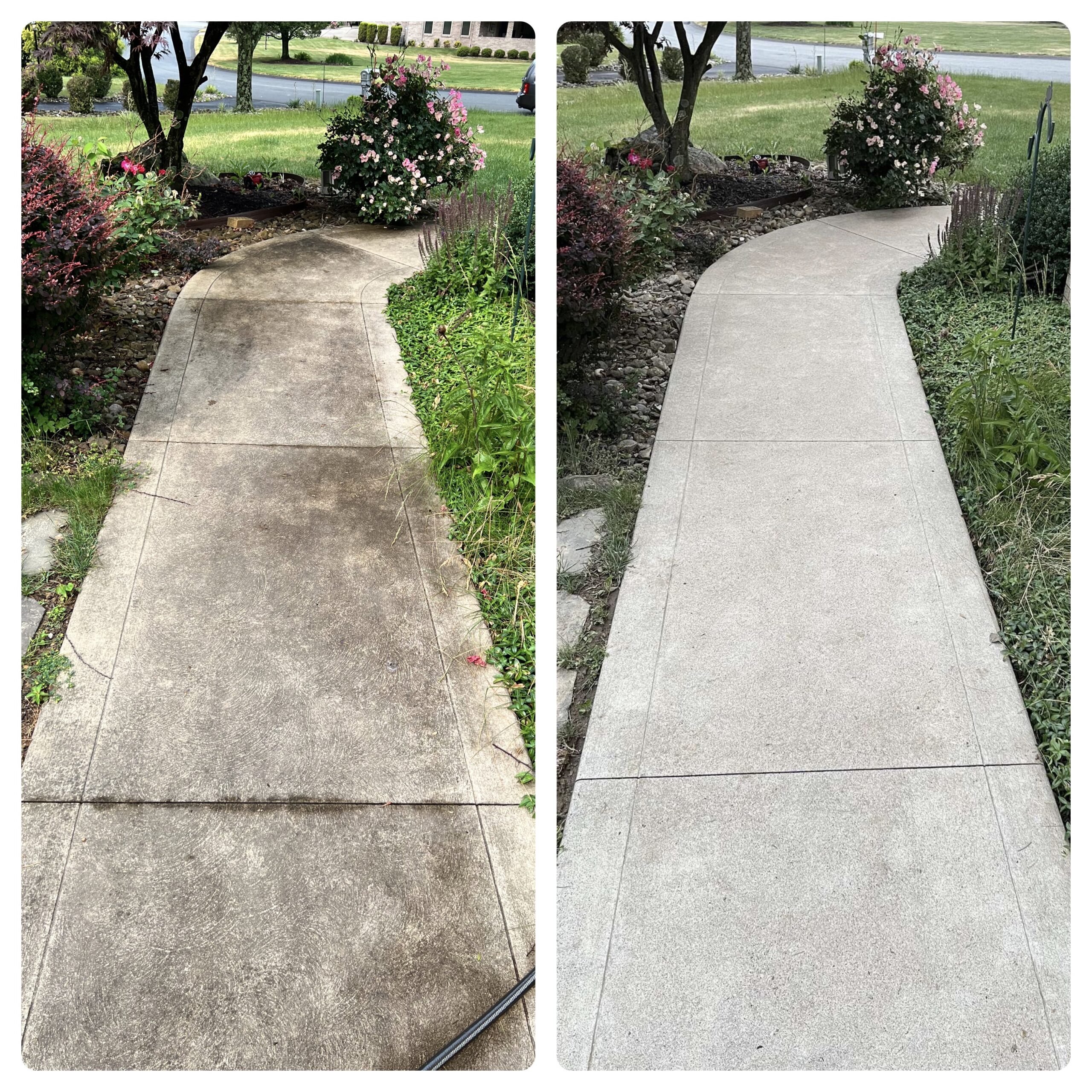 Top-Rated Local Pressure Washing - Premium Pressure Washing